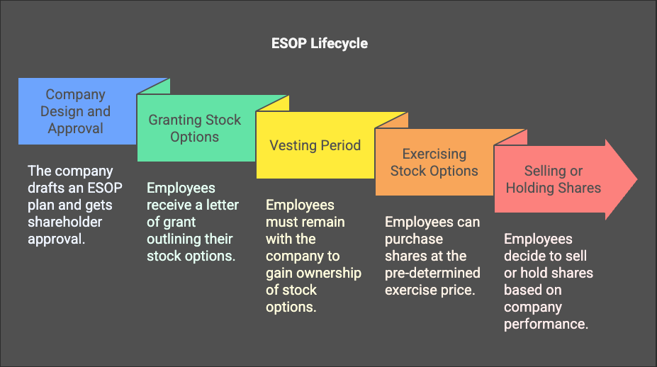 What Is an ESOP? Meaning, Benefits, and How Employee Plans Work